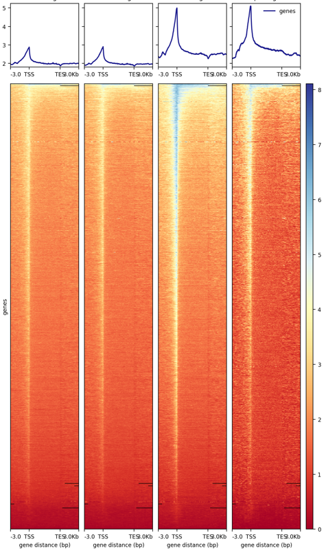 Deeptools plotHeatmap with different scales · Issue #1083 · deeptools/deepTools · GitHub