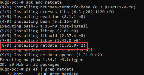 [Bug]: Alpine linux native package install get v1.31.0 · Issue #13279 · netdata/netdata · GitHub