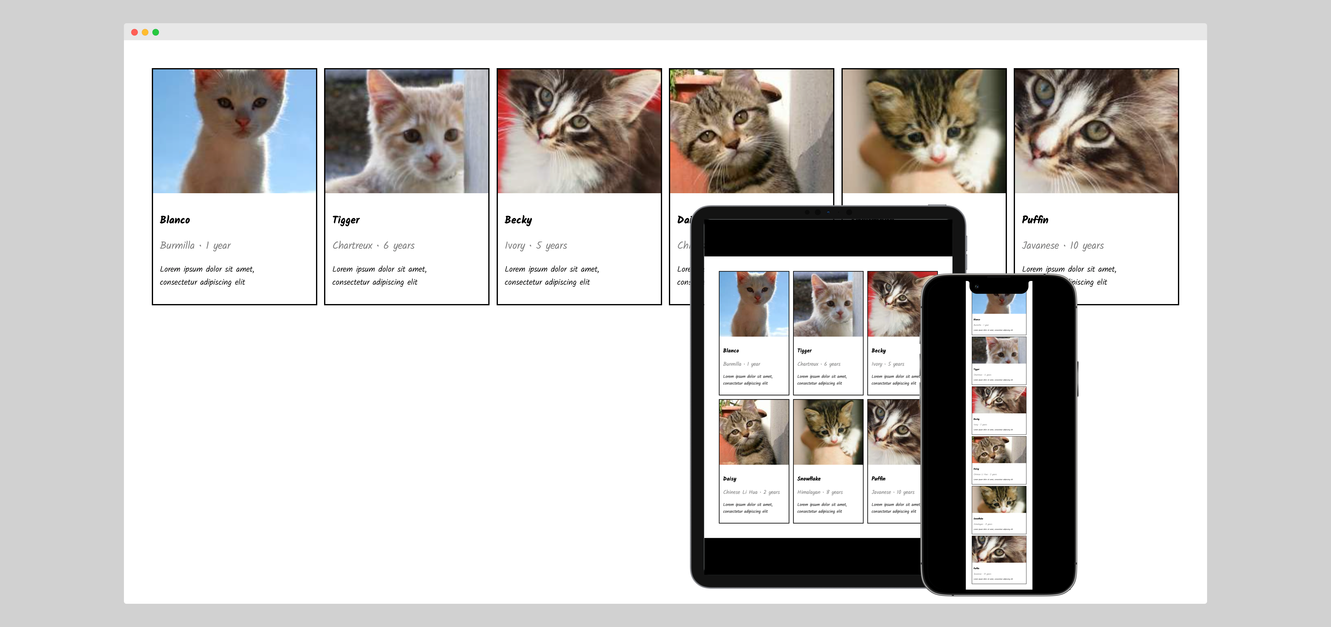 GitHub - frontendella/grid-cats-gallery: Mobile responsive simple cats ...
