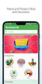 GitHub - Pulkit0729/Ginkgos