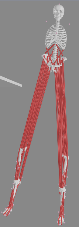 Unrealistic location of custom bone meshes · Issue #5 · mapclient-plugins ...