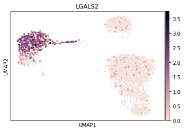 continuous color map · Issue #1550 · scverse/scanpy · GitHub