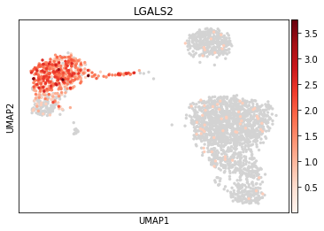 continuous color map · Issue #1550 · scverse/scanpy · GitHub