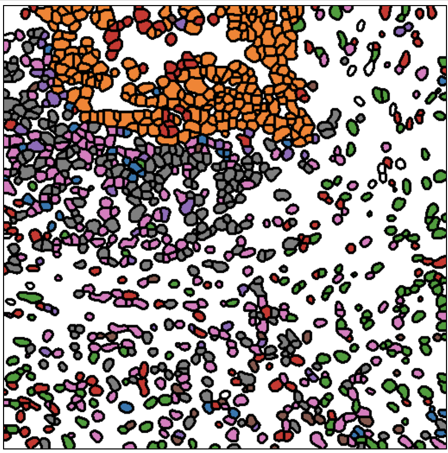Plotting values on top of segmentation mask · Issue #427 · scverse/squidpy · GitHub