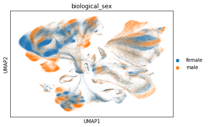 Scatter plot default point size · Issue #293 · scverse/scanpy · GitHub