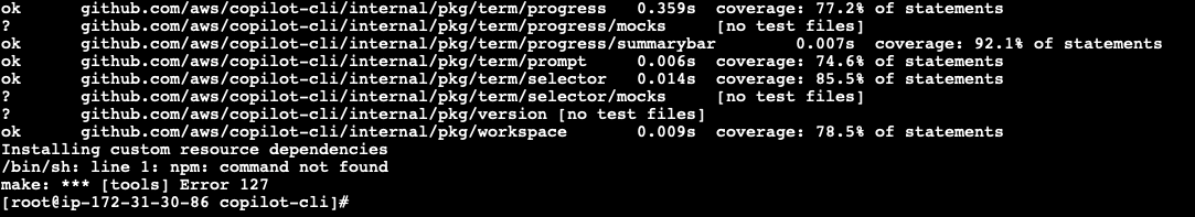 Need npm in development setup? · Issue #4123 · aws/copilot-cli · GitHub