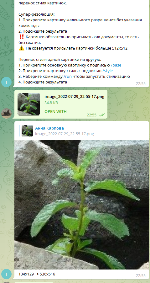 GitHub - ankkarp/StyleBot