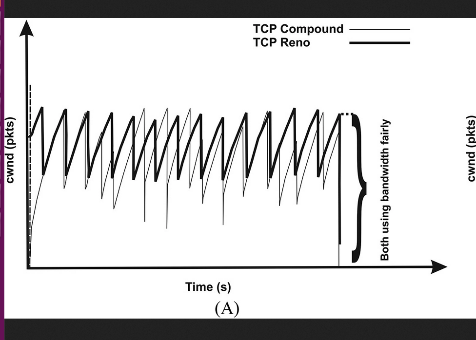 GitHub - Yannnyan/Network_EndProject: This is our final project in networking course.