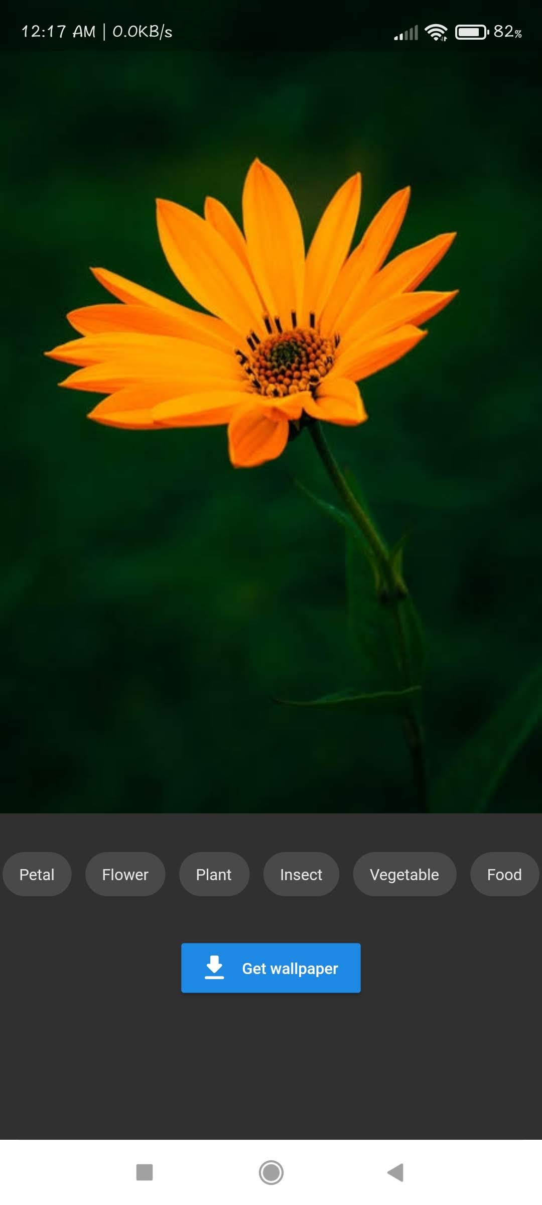 GitHub - chayan-1906/Wally-App