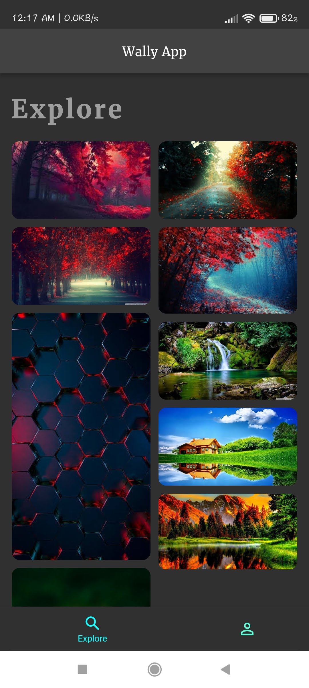 GitHub - chayan-1906/Wally-App