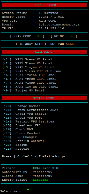 GitHub - Lone-Project/XRAY-Lite