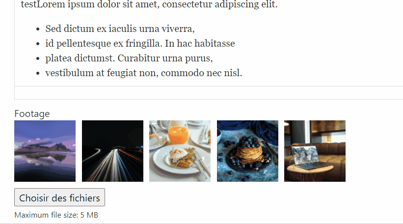 🐛[Jetformbuilder] missing options · Issue #85 · Crocoblock/jetformbuilder · GitHub