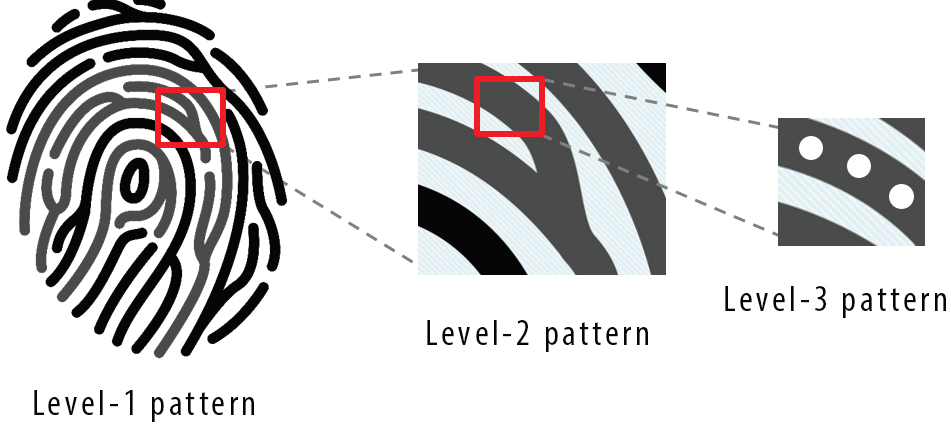 GitHub - Ashraful2425/Fingerprint-recognition