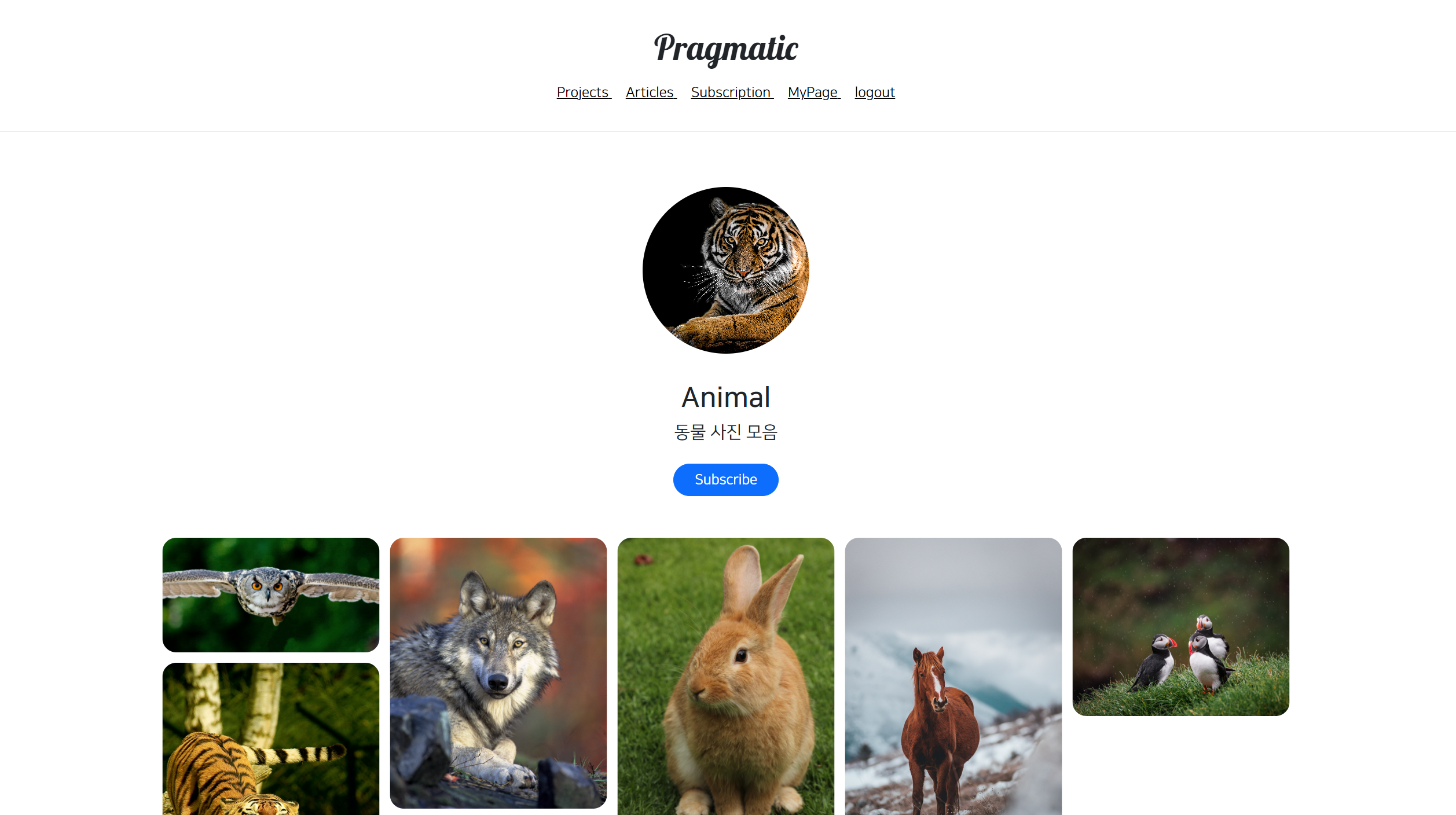 GitHub - Mindlestick/Django-pragmatic: 카드형 레이아웃 웹