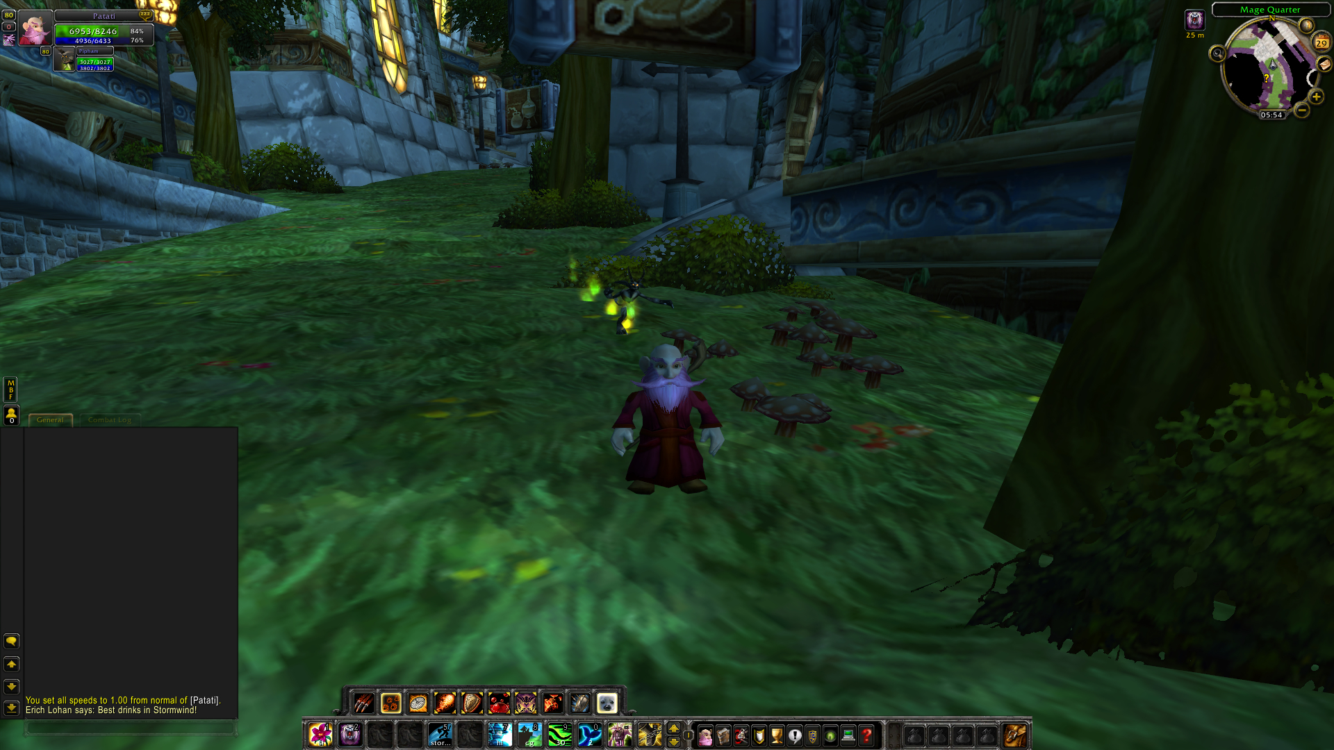 Pets/Guardians not getting catchup speed · Issue #6098 · azerothcore ...