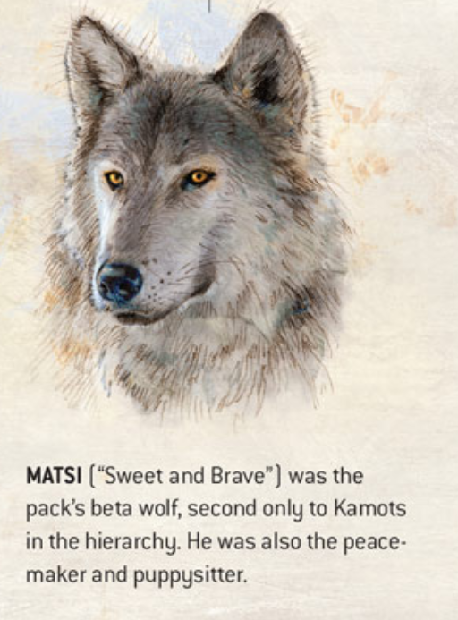 GitHub - HattieTavares/Matsi