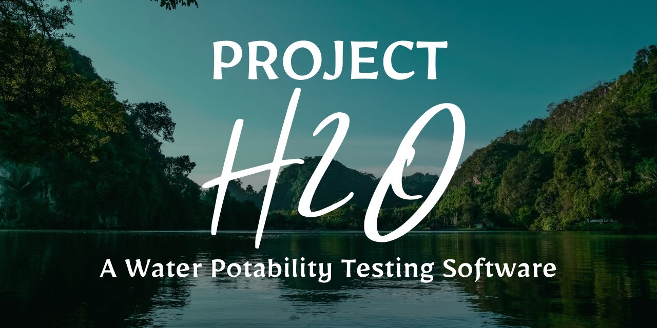 GitHub - Hamza08dev/Project-H2O