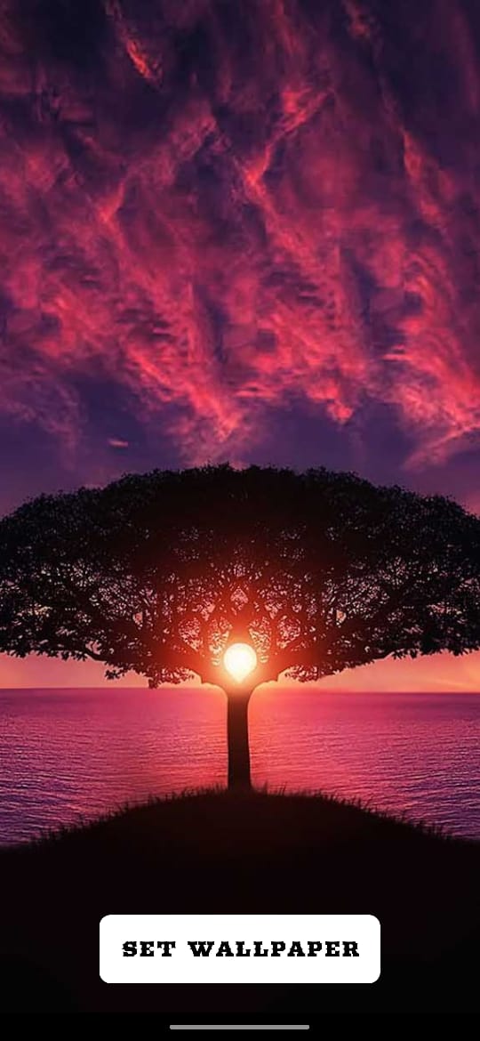 GitHub - PiyushVerma26/Wallpaper-App