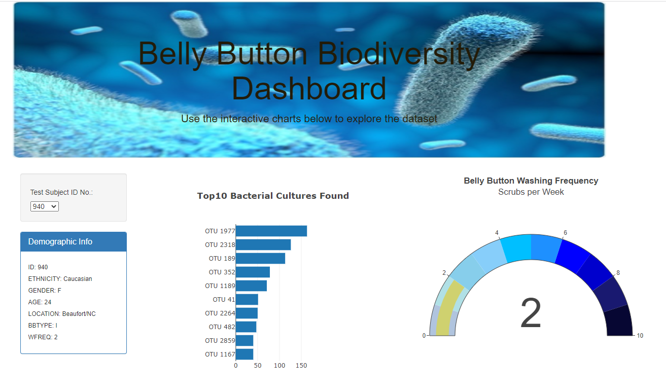 GitHub - summerginger/Belly-Button-Bio: This project is to create a dashboard that displays ...