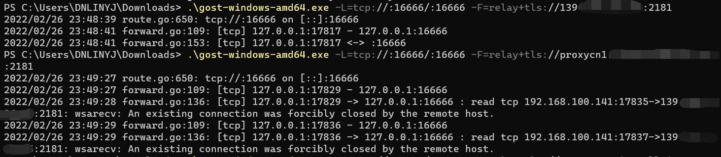 套域名后服务器连接失败 · Issue #792 · ginuerzh/gost · GitHub