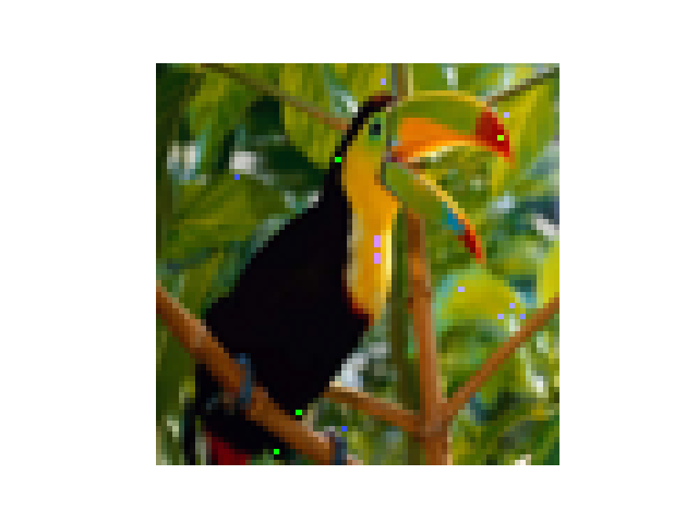 After Transforms Resize The Output Image Has Some Noises Not From Original Image · Issue 7437