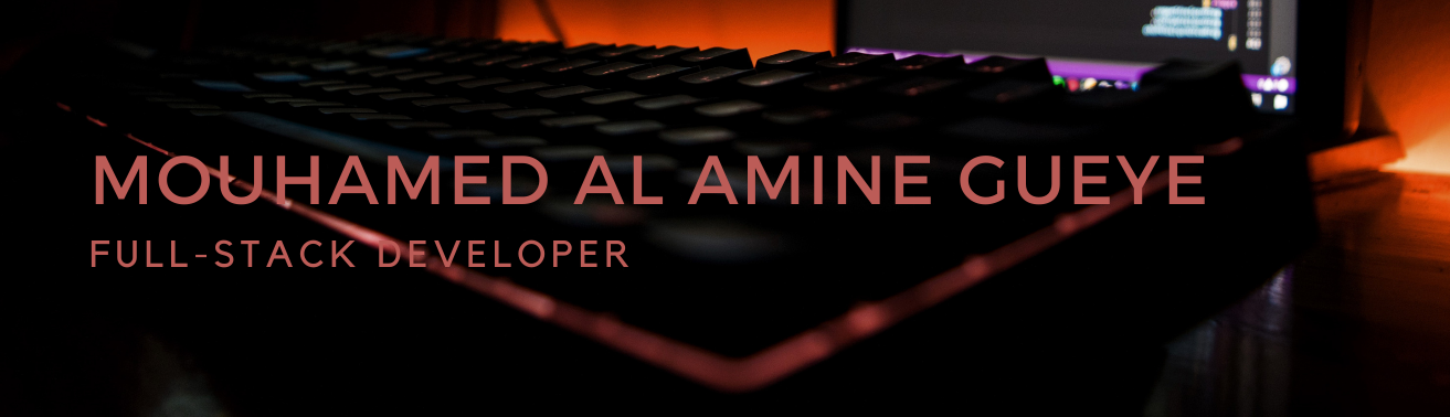 AlAmine-dot (Mouhamed Al Amine Gueye) · GitHub