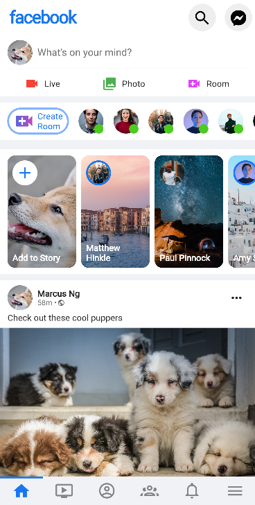 GitHub - saippuakiv/flutter_facebook_ui: Flutter UI demo for a facebook ...