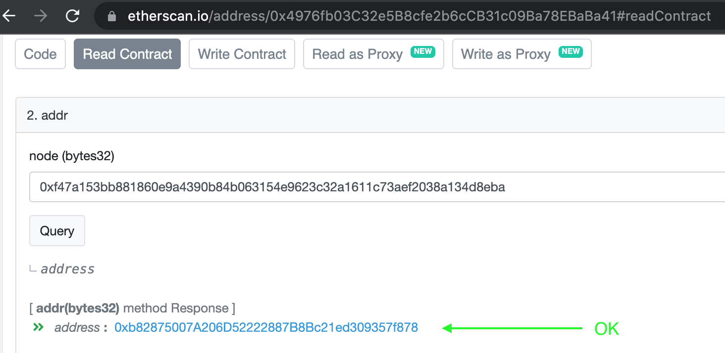 GitHub - edmulraney/subdomain-wildcard-resolver