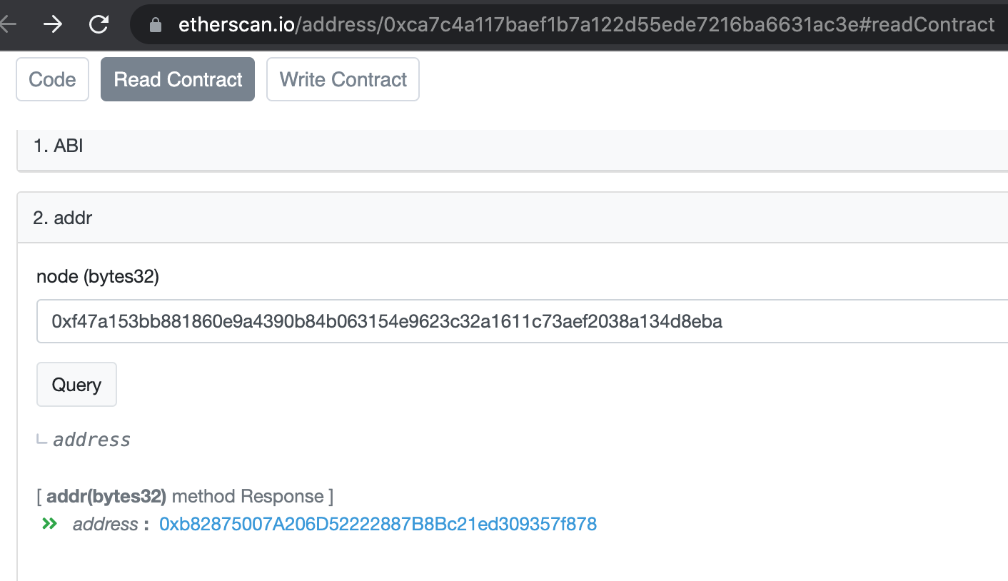 GitHub - edmulraney/subdomain-wildcard-resolver