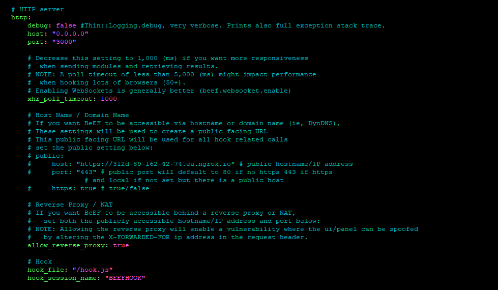 beef not hooking over ngrok · Issue #2469 · beefproject/beef · GitHub