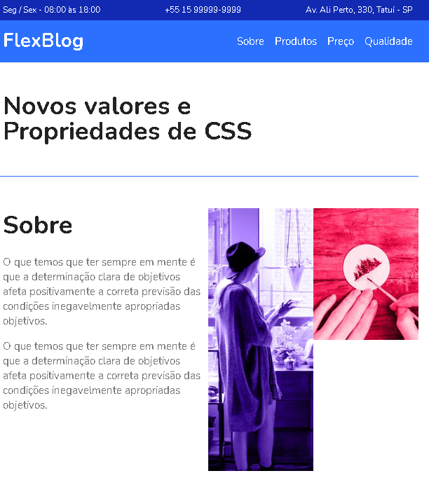 GitHub - Vitors-Miranda/Flexblog-project: A project made in web programming class, with focus on ...