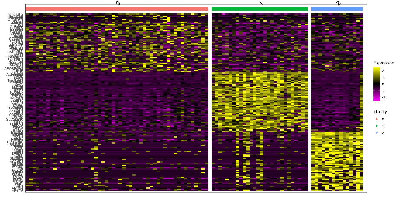 Remove line borders in DoHeatmap · Issue #6147 · satijalab/seurat · GitHub
