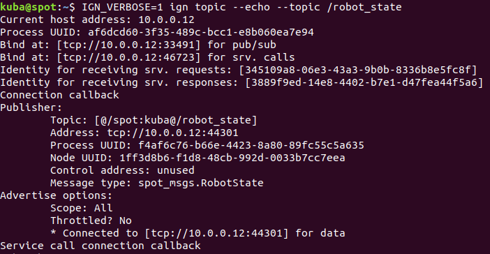 Inspecting custom messages using 'ign topic --echo --topic /some_topic ...
