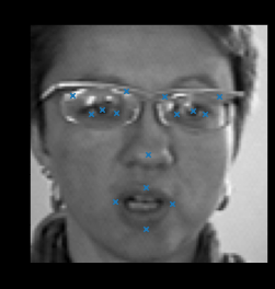 GitHub - vap49/Facial-Keypoint-Detection
