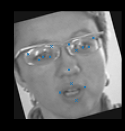 GitHub - vap49/Facial-Keypoint-Detection