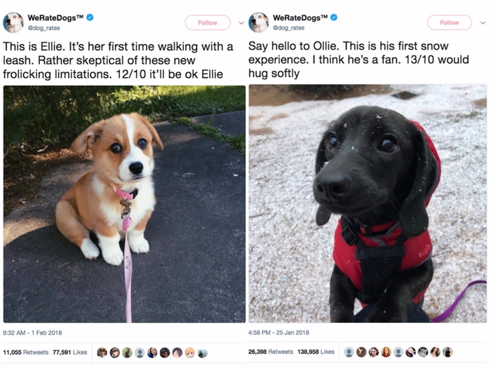 GitHub - Emmaxadel/WerateDogs-Twitter-Analysis