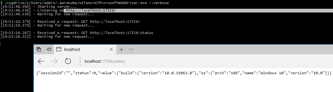 Microsoft Edge: Bad Request - Invalid Hostname · Issue #176 · aerokube ...