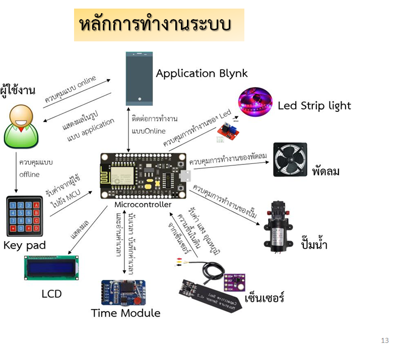 GitHub - panumat-inud1/Project-RMUTL