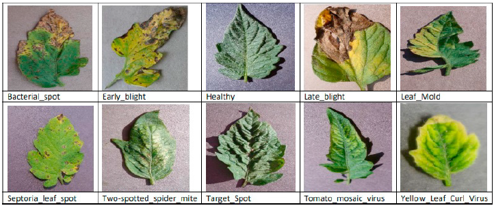 GitHub - AniketPawade/Tomato-Leaf-Disease-Detection-using-Convolution ...