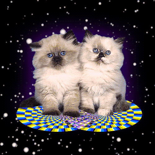 kjxeez (iaakopyan) · GitHub