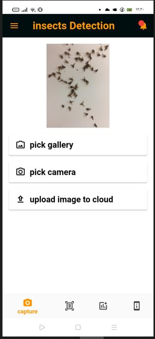 GitHub - mohamedabdelgwad603/insects_Detection-Flutter-app: insect ...