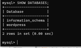 GitHub - onyeka-hub/Project-6: Prepare storage infrastructure on two Linux servers and implement ...