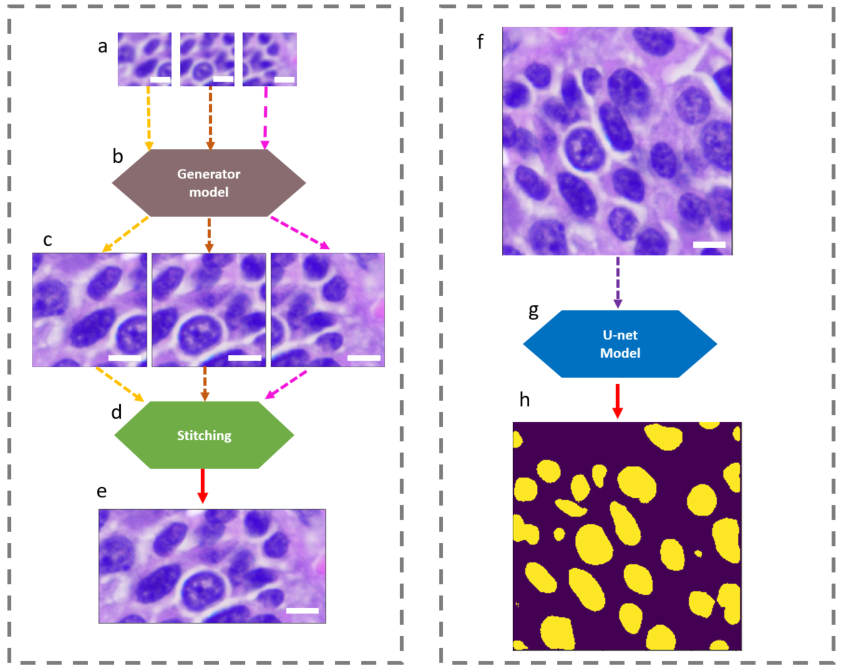 GitHub - AniwatJ/Super-High-resolution-and-Segmentation-Deep-Learning ...