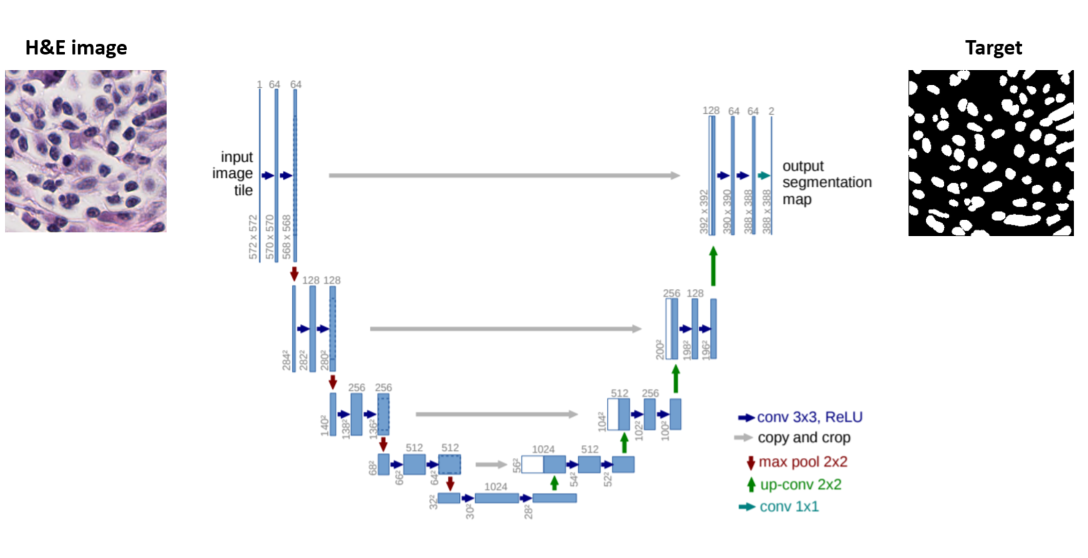 GitHub - AniwatJ/Super-High-resolution-and-Segmentation-Deep-Learning ...