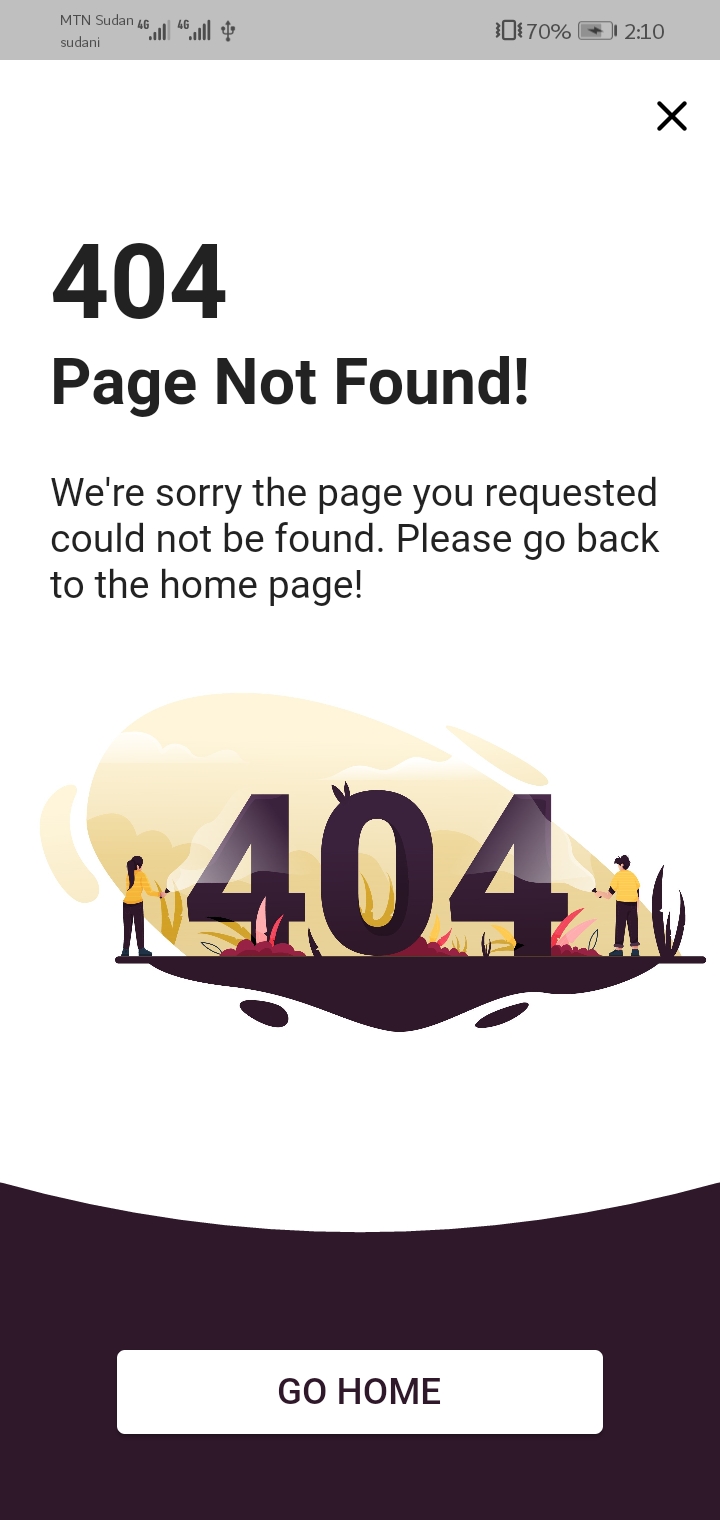 GitHub - Modather-ali/flutter_error_screens