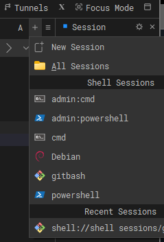 Changes to Shell session not reflected in panel · Issue #1096 · kingToolbox/WindTerm · GitHub