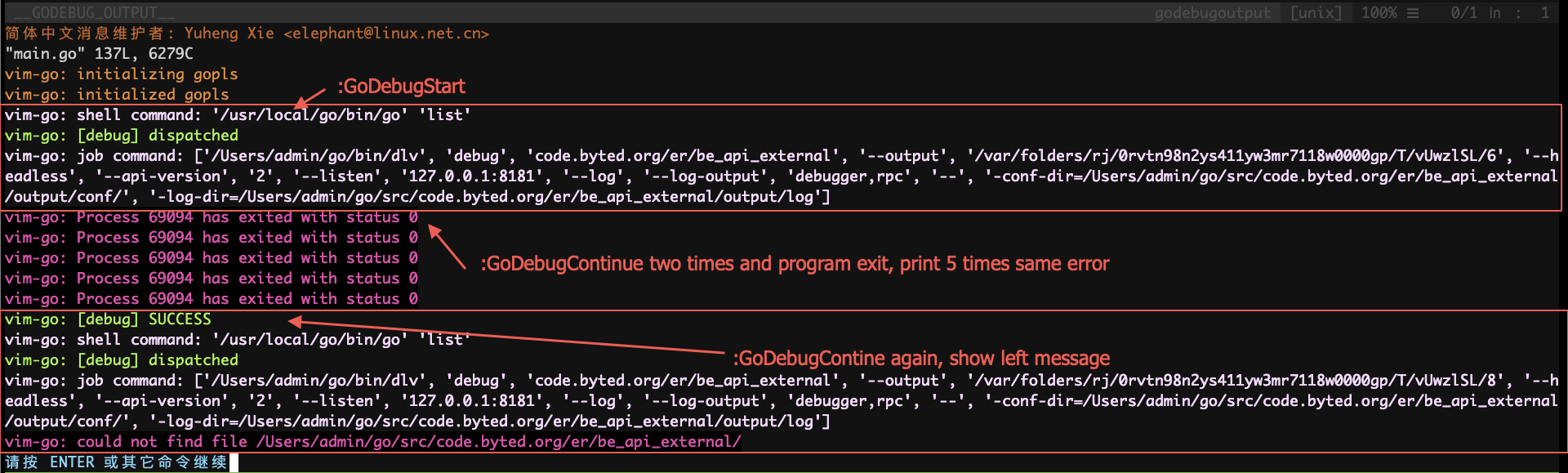 error setting breakpoint on second :GoDebugStart · Issue #2920 · fatih/vim-go · GitHub