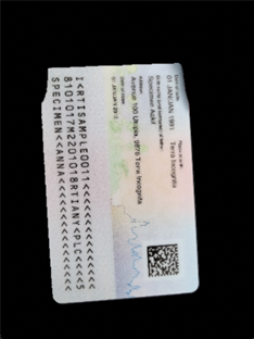 GitHub - morovatdar/Document-Scan: A python code for scanning and ...