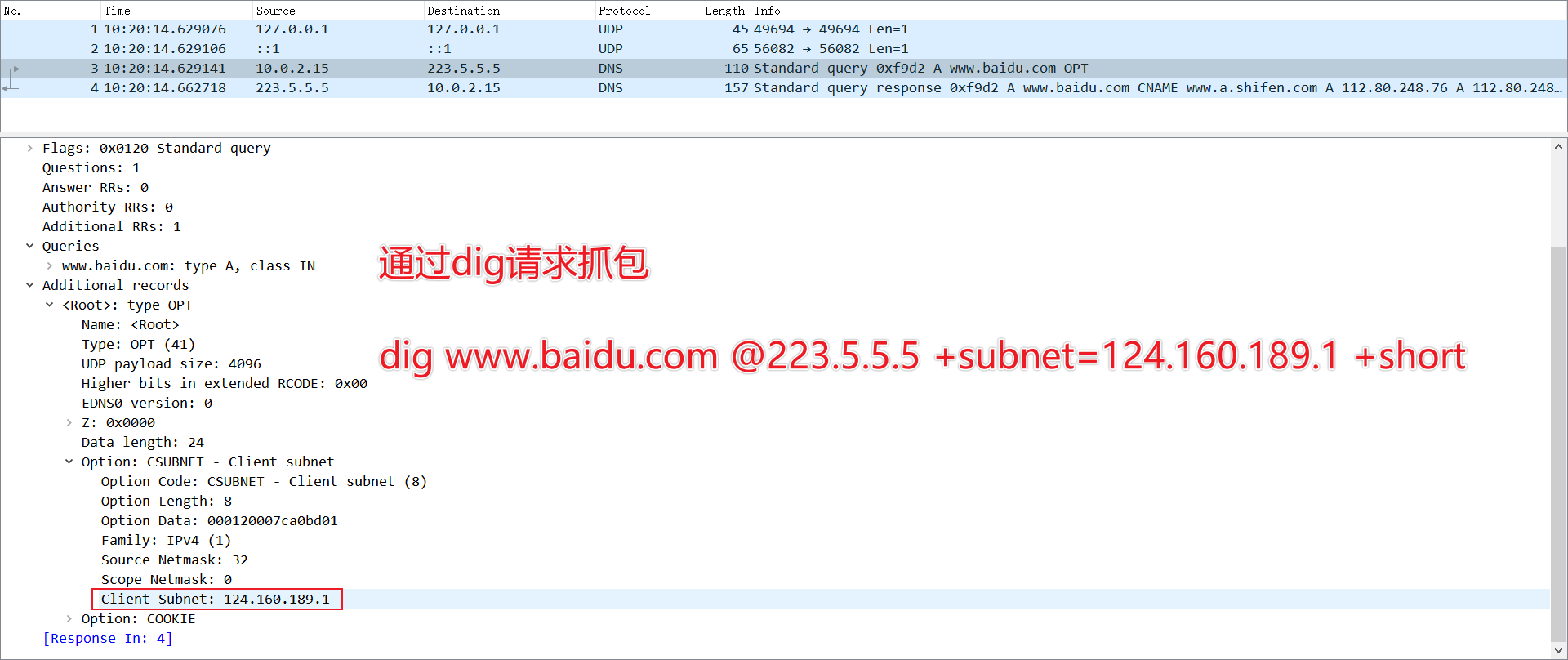 dns服务器clientIp配置项不起作用 · Issue #466 · XTLS/Xray-core · GitHub