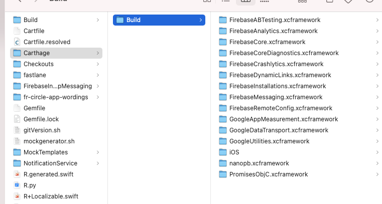 Issue Couldnt Import Firebaseremoteconfigbinary And Firebaseinappmessagingbinary At The Same